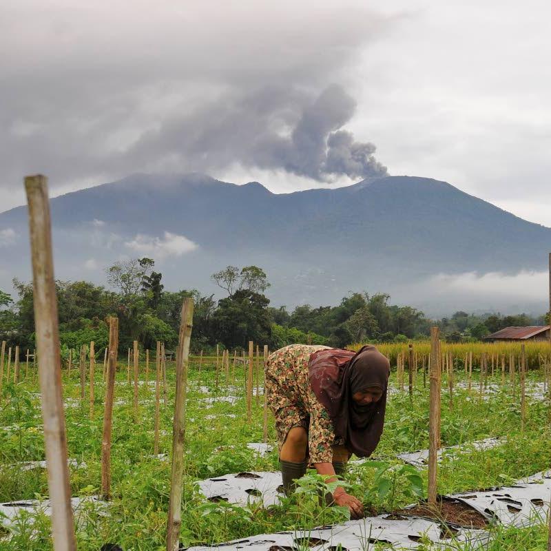 Volcanoes can help us untangle the evolution of humans – here’s how ...